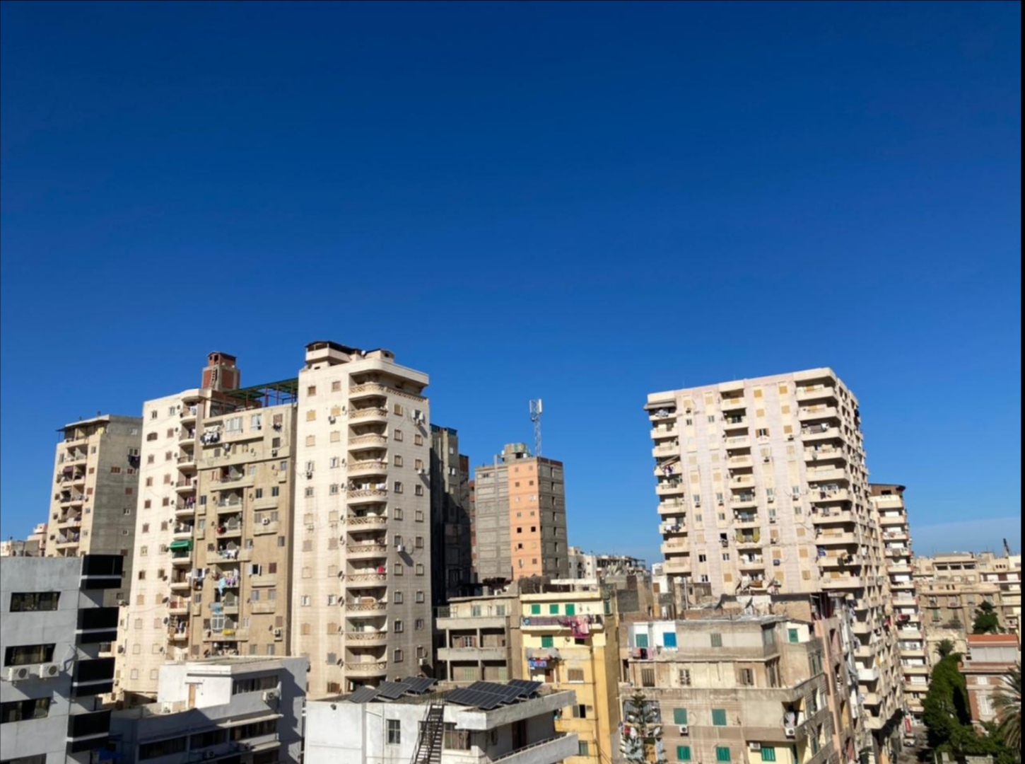 Alexandria | Reactivating common urban imaginaries